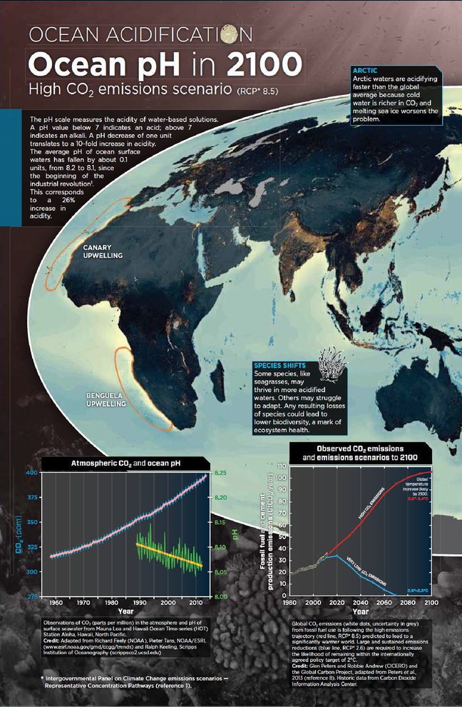 More Ocean Acidification Now Than Past 55 Million Years